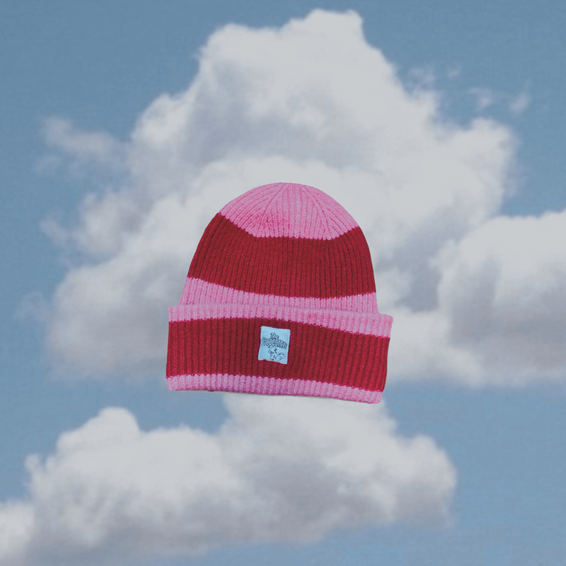 caps & beanies – Page 3 – The Propcorner